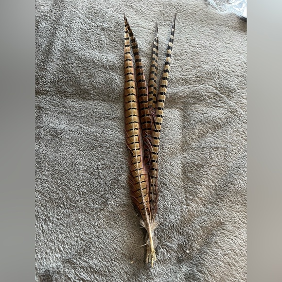 Other | Decorative Brown And Tan Feathers Pheasant Tai Feathers | Poshmark